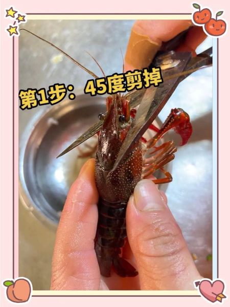 小龙虾怎么清洗_家常小龙虾做法步骤-第3张图片-山城妙识 小龙虾怎么清洗_家常小龙虾做法步骤-第3张图片-山城妙识