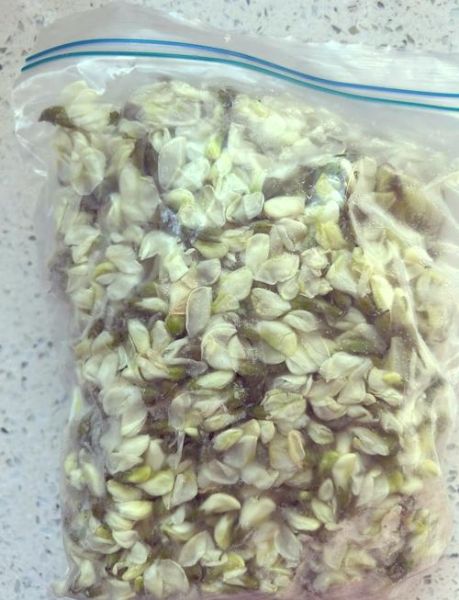 冷冻槐花怎么保存_冷冻槐花的做法大全-第1张图片-山城妙识 冷冻槐花怎么保存_冷冻槐花的做法大全-第1张图片-山城妙识