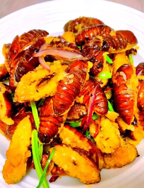 爆炒蚕蛹怎么做_蚕蛹炒多久才熟-第1张图片-山城妙识