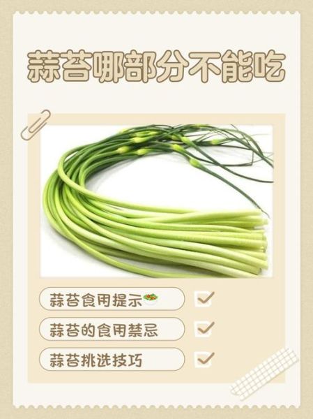 女人吃蒜苔坏处_蒜苔对女性有哪些副作用-第1张图片-山城妙识