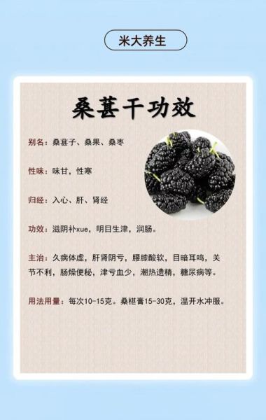 桑葚干泡水哪些人不能喝_桑葚干泡水禁忌人群-第1张图片-山城妙识