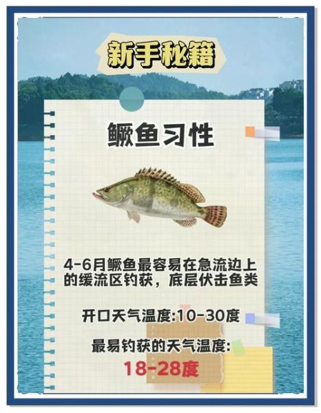 钓鳜鱼口诀是什么_钓鳜鱼口诀怎么用-第1张图片-山城妙识