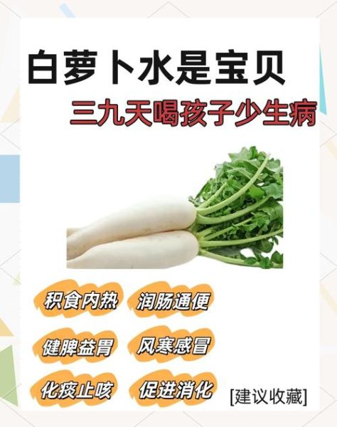 白萝卜的营养价值_白萝卜的功效与作用-第3张图片-山城妙识