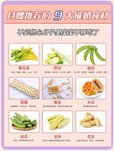 催奶的食物有哪些_四种催奶的食物最有效-第1张图片-山城妙识 催奶的食物有哪些_四种催奶的食物最有效-第1张图片-山城妙识