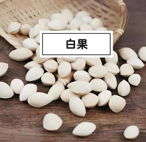 白果长什么样_白果是什么植物的果实-第1张图片-山城妙识