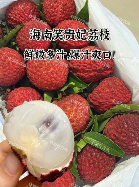 海南特产水果有哪些_海南水果几月份最甜-第3张图片-山城妙识