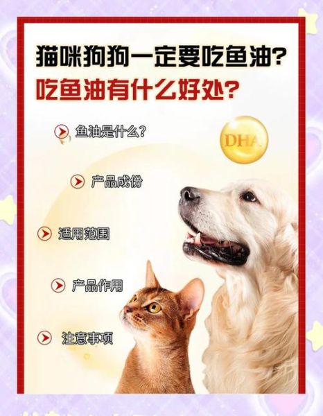 狗鱼油的功效与作用_狗鱼油怎么吃最好-第1张图片-山城妙识