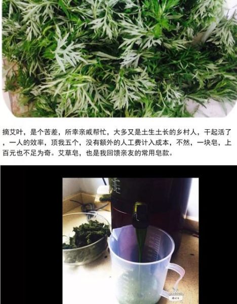 艾叶水洗脸能祛痘吗_艾叶水洗脸的正确方法-第3张图片-山城妙识 艾叶水洗脸能祛痘吗_艾叶水洗脸的正确方法-第3张图片-山城妙识