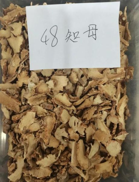 野生知母图片_如何辨别真假-第3张图片-山城妙识 野生知母图片_如何辨别真假-第3张图片-山城妙识