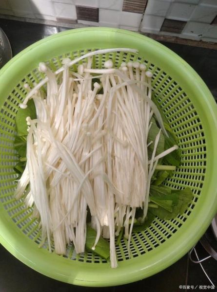 金针菇煮多久几分钟能熟_金针菇焯水几分钟-第1张图片-山城妙识 金针菇煮多久几分钟能熟_金针菇焯水几分钟-第1张图片-山城妙识