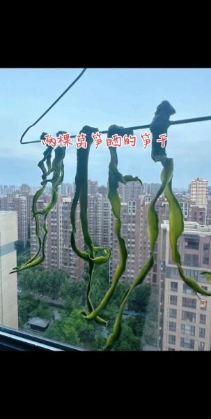 莴笋干怎么晒_莴笋干制作方法-第2张图片-山城妙识