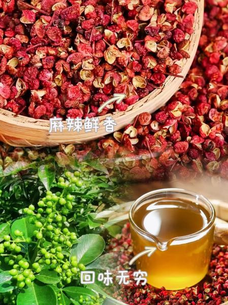 花椒树苗多少钱一棵_花椒树苗价格影响因素-第1张图片-山城妙识