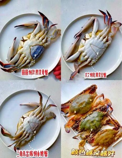 梭子蟹什么时候最便宜_梭子蟹几月份最便宜-第1张图片-山城妙识