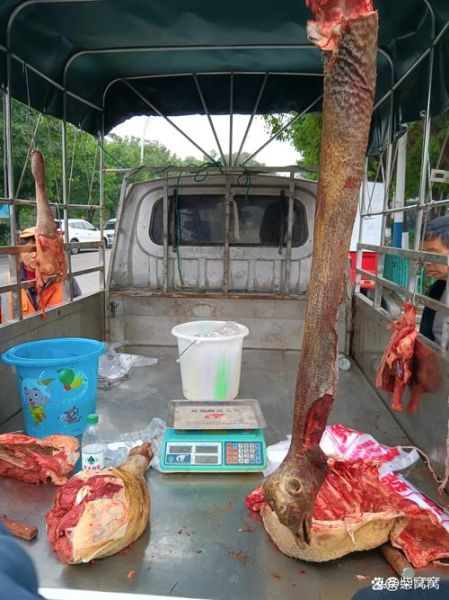 鸵鸟肉多少钱一斤_鸵鸟肉价格为什么贵-第2张图片-山城妙识 鸵鸟肉多少钱一斤_鸵鸟肉价格为什么贵-第2张图片-山城妙识