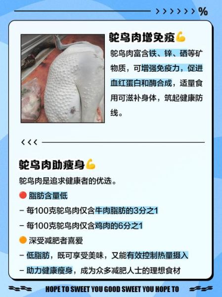 鸵鸟肉多少钱一斤_鸵鸟肉价格为什么贵-第3张图片-山城妙识 鸵鸟肉多少钱一斤_鸵鸟肉价格为什么贵-第3张图片-山城妙识