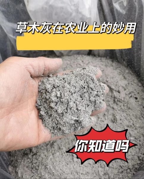 草木灰的作用有哪些_草木灰可以直接施肥吗-第3张图片-山城妙识