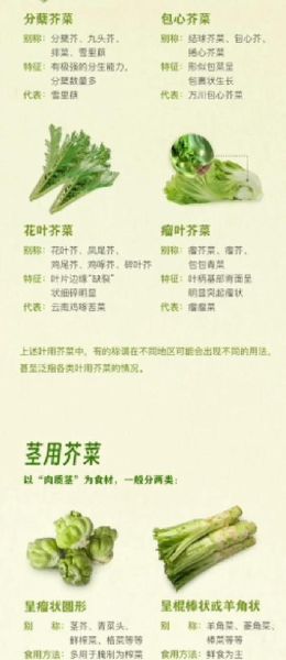 春芥菜的功效与作用_春芥菜怎么吃最好-第1张图片-山城妙识 春芥菜的功效与作用_春芥菜怎么吃最好-第1张图片-山城妙识