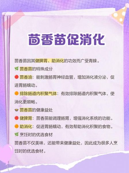 野茴香菜长什么样_野茴香菜和茴香苗区别-第2张图片-山城妙识 野茴香菜长什么样_野茴香菜和茴香苗区别-第2张图片-山城妙识