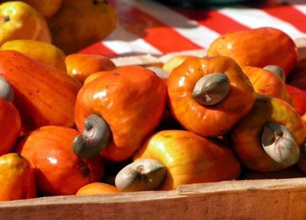 腰果梨能吃吗_腰果梨怎么吃-第1张图片-山城妙识 腰果梨能吃吗_腰果梨怎么吃-第1张图片-山城妙识