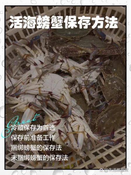 大闸蟹怎么存放才能活得时间长_活蟹保存技巧-第3张图片-山城妙识