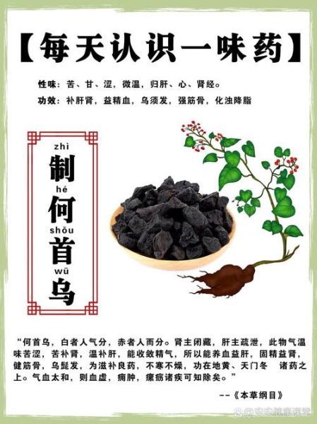 生何首乌的功效与作用_生何首乌怎么吃最养肝-第1张图片-山城妙识