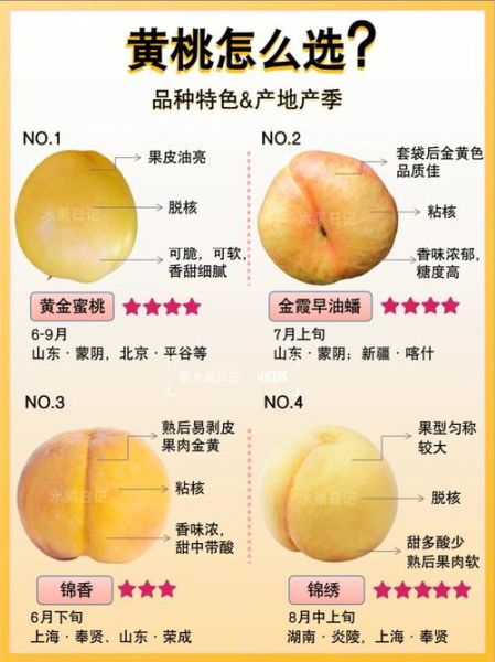 黄桃罐头怎么做_黄桃怎么挑选-第1张图片-山城妙识