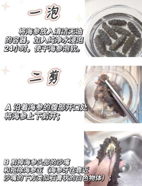 野生海参怎么吃_海参泡发后怎么做-第3张图片-山城妙识