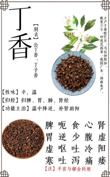 丁香的功效与作用_丁香泡水喝的禁忌-第2张图片-山城妙识 丁香的功效与作用_丁香泡水喝的禁忌-第2张图片-山城妙识