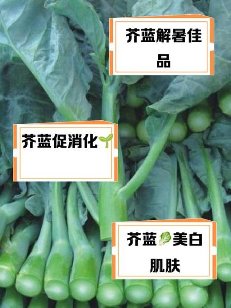 芥蓝菜的功效与作用_芥蓝菜怎么吃最营养-第2张图片-山城妙识 芥蓝菜的功效与作用_芥蓝菜怎么吃最营养-第2张图片-山城妙识