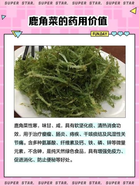 鹿角菜凉拌要用开水烫吗_焯水多久才脆嫩-第3张图片-山城妙识