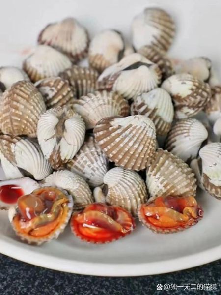 毛蚶子学名是什么_毛蚶子与血蚶区别-第2张图片-山城妙识