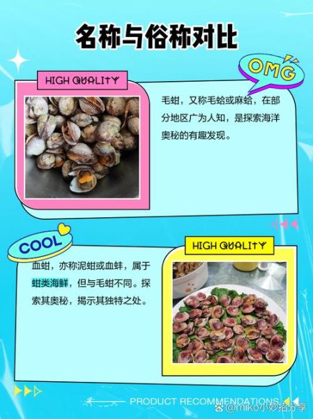 毛蚶子学名是什么_毛蚶子与血蚶区别-第1张图片-山城妙识