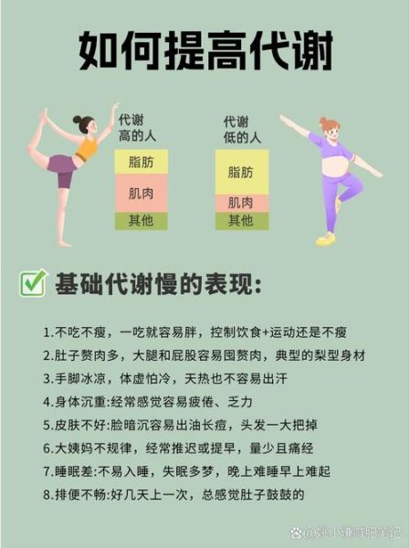 怎样减肥最有效最健康_如何科学减脂不反弹-第3张图片-山城妙识