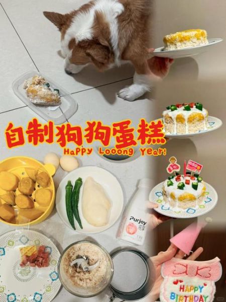 宠物蛋糕怎么做_狗狗生日蛋糕安全配方-第1张图片-山城妙识 宠物蛋糕怎么做_狗狗生日蛋糕安全配方-第1张图片-山城妙识