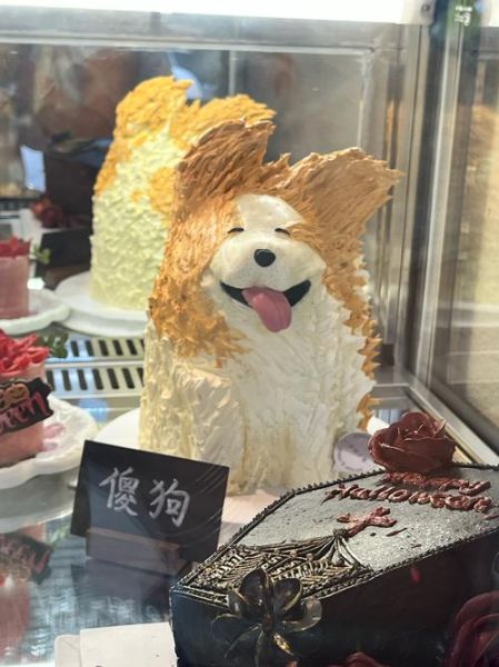 宠物蛋糕怎么做_狗狗生日蛋糕安全配方-第2张图片-山城妙识 宠物蛋糕怎么做_狗狗生日蛋糕安全配方-第2张图片-山城妙识