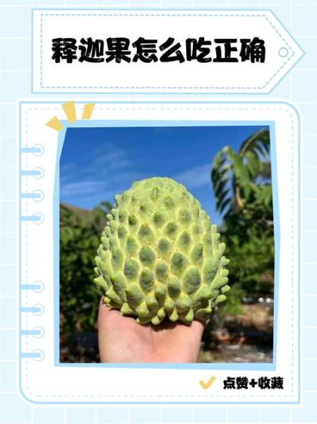 释迦果怎么吃好吃_释迦果的正确吃法-第1张图片-山城妙识