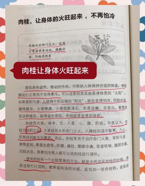 桂皮的功效与作用_桂皮和肉桂的区别-第1张图片-山城妙识