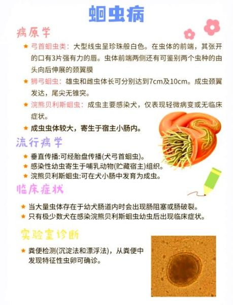 蛔虫感染症状_蛔虫怎么预防-第1张图片-山城妙识