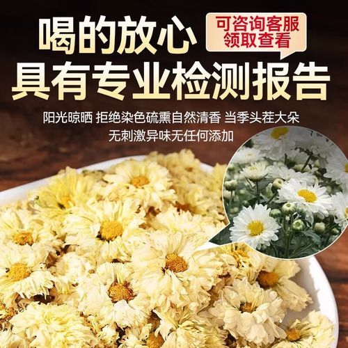 养肝买杭白菊还是胎菊_哪个效果更好-第3张图片-山城妙识 养肝买杭白菊还是胎菊_哪个效果更好-第3张图片-山城妙识