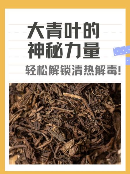 大青叶的功效与作用_大青叶能治哪些病-第2张图片-山城妙识