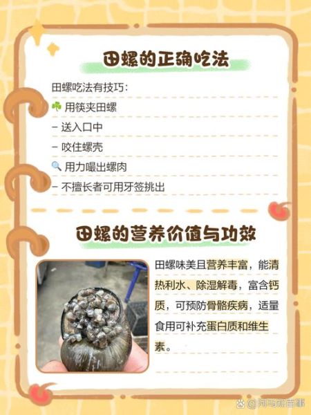 田螺吃什么_如何喂养-第1张图片-山城妙识