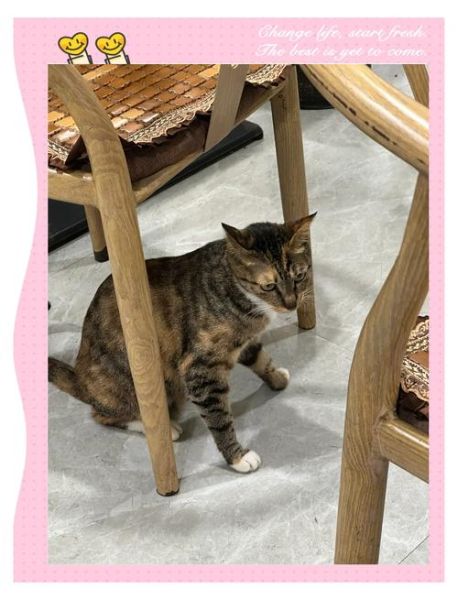 精武鸭脖加盟哪家好_如何挑选靠谱品牌-第1张图片-山城妙识 精武鸭脖加盟哪家好_如何挑选靠谱品牌-第1张图片-山城妙识