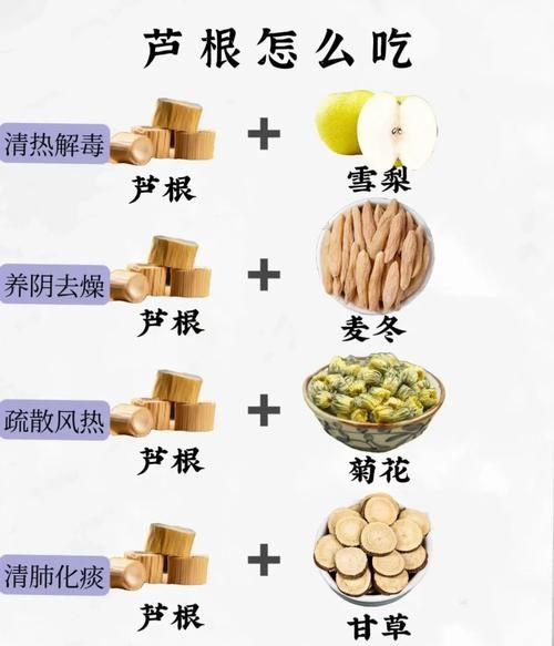 芦根的功效与作用_芦根泡水喝有什么禁忌-第1张图片-山城妙识