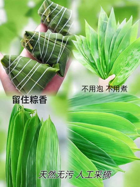 广西粽叶图片哪里找_广西粽叶高清图怎么拍-第1张图片-山城妙识