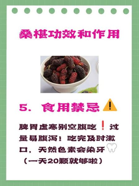 桑椹的副作用有哪些_桑椹禁忌人群-第1张图片-山城妙识