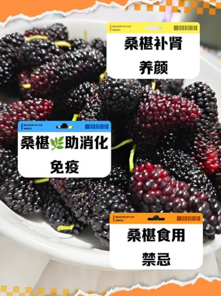 桑椹的副作用有哪些_桑椹禁忌人群-第3张图片-山城妙识