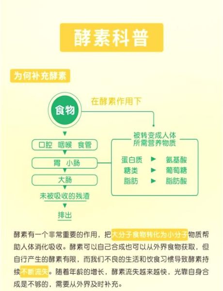 酵素减肥骗局揭秘_酵素减肥有用吗-第1张图片-山城妙识 酵素减肥骗局揭秘_酵素减肥有用吗-第1张图片-山城妙识