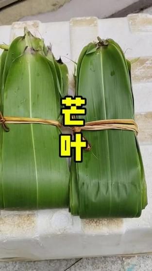 广西包粽子的叶子叫什么_箬叶与柊叶区别-第2张图片-山城妙识