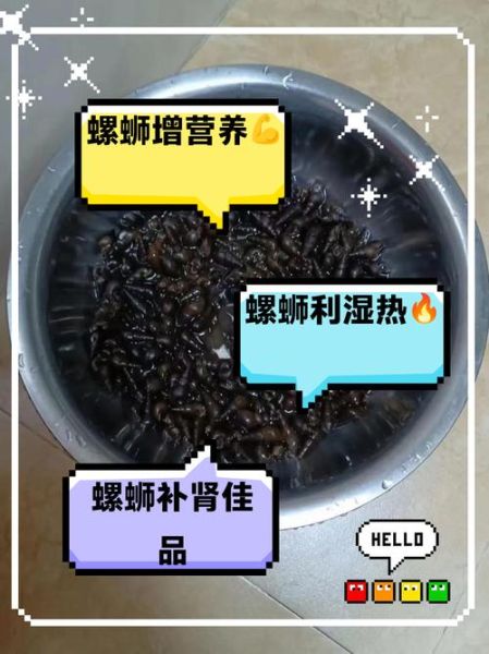 河螺怎么养_河螺吃什么-第1张图片-山城妙识