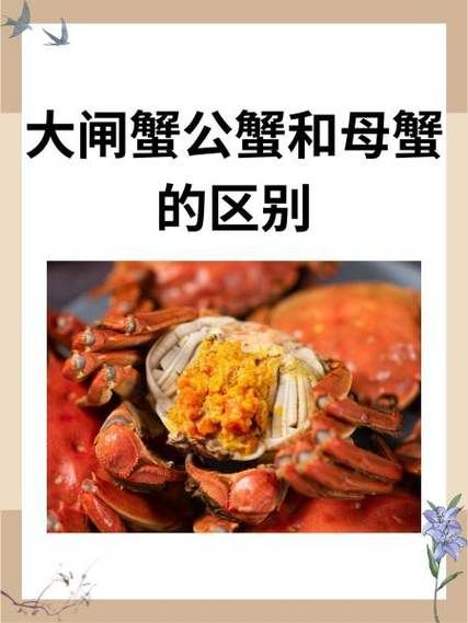 蟹黄和蟹屎位置图解_如何快速区分蟹黄与蟹屎-第2张图片-山城妙识